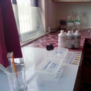 mZN Staining Protocol