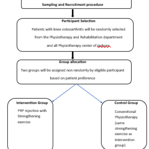 Platelet Rich Plasma with Strengthening Exercise versus Physiotherapy ...