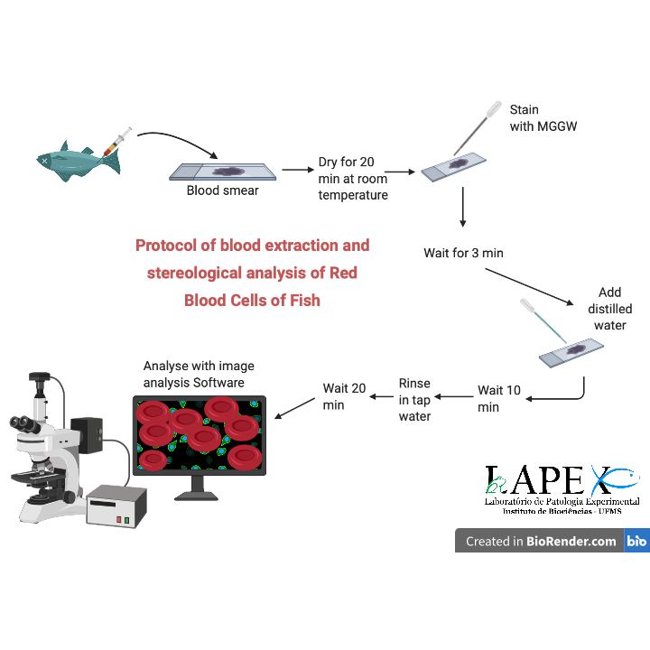 Staining of fish Red Blood Cells
