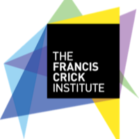 Preparation of TET Buffer