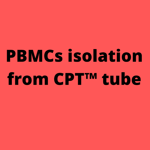 PBMCs isolation from CPT™ tube V.1