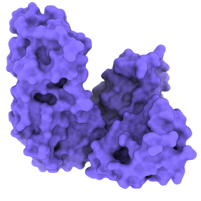 Recombinant Protein Expression of MMLV-RT H+