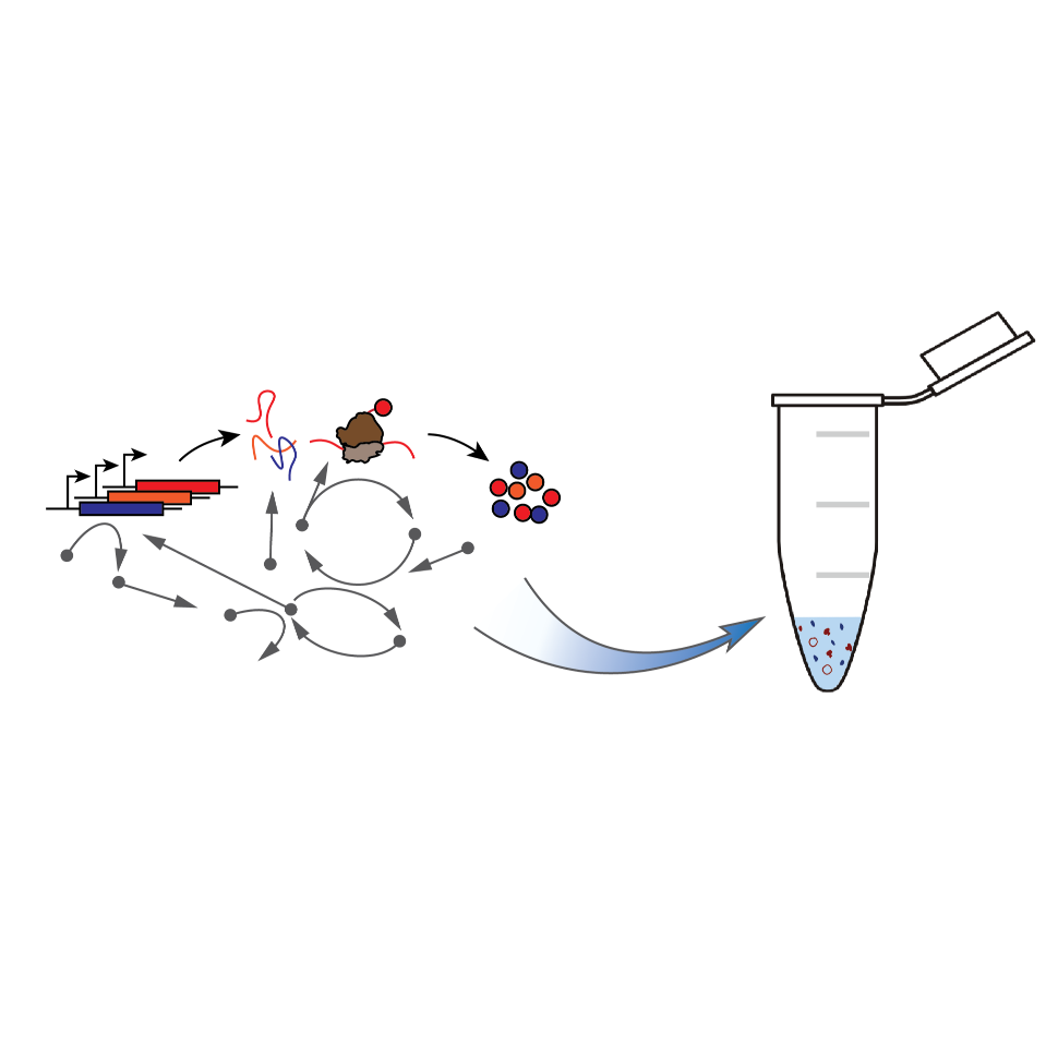 Cell-free 3PGA energy solution