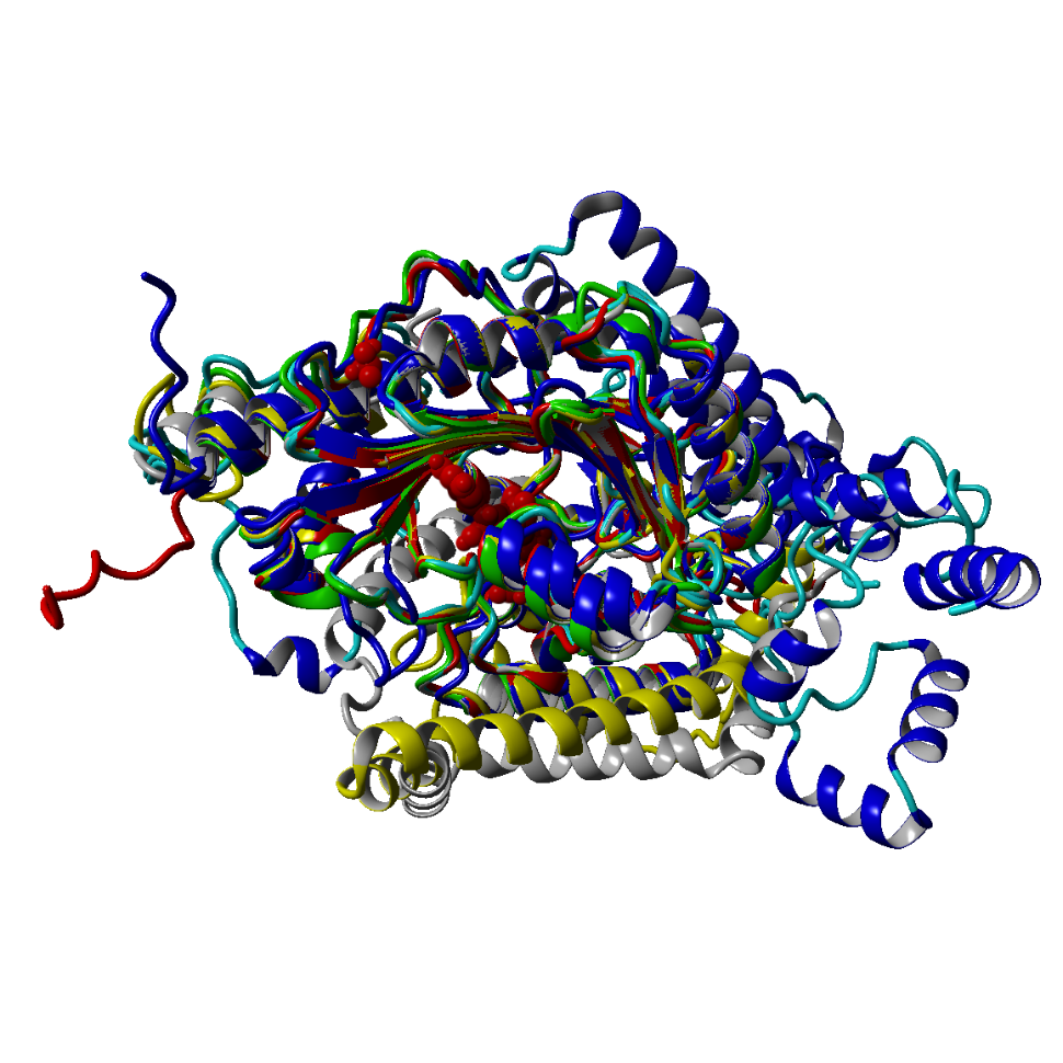 Homology modeling using Phyre2 for Biochemistry I V.2