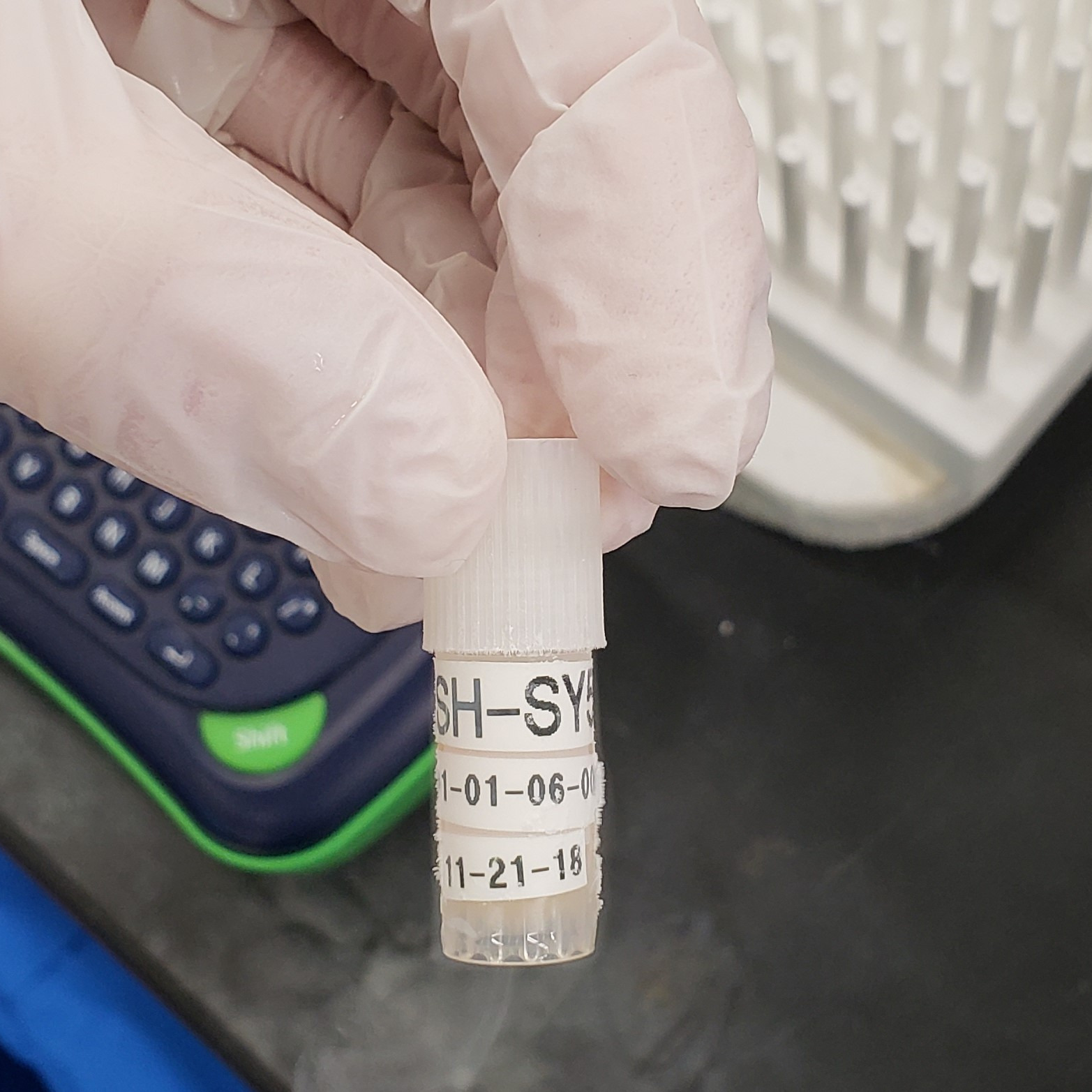 Thawing and Seeding Frozen Cells V.2