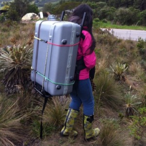 Indira V Leon-Garcia on protocols.io