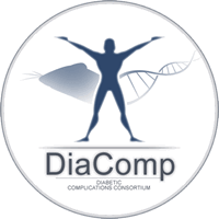 High Dose STZ Induction Protocol