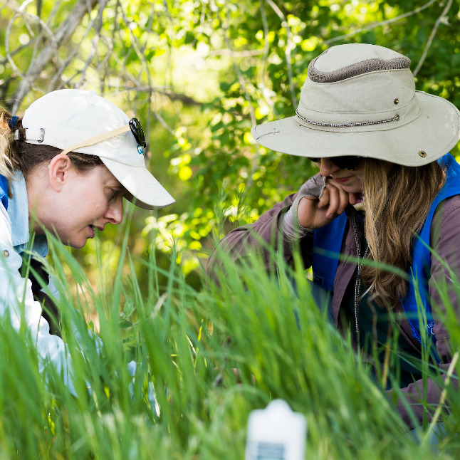 Vegetation Monitoring Protocol for measuring and collecting ecological ...