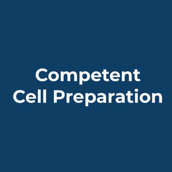 Preparing Chemically Competent E coli for Transformation