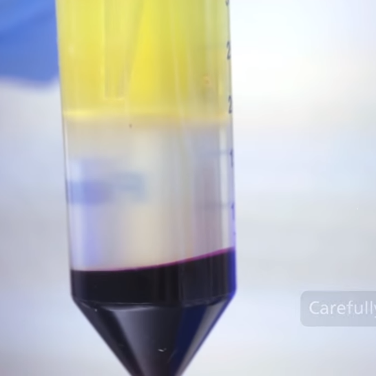 Isolation of Mononuclear Cells from Whole Blood by Density Gradient ...
