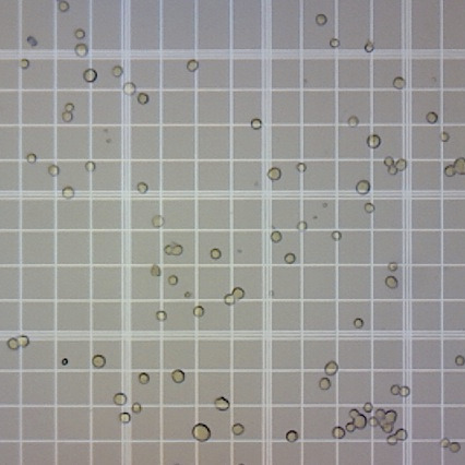 Manual Cell Counting