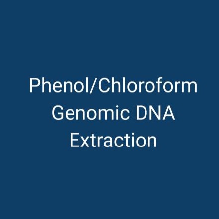 Phenol/Chloroform Genomic DNA extraction from Tissue Culture cells
