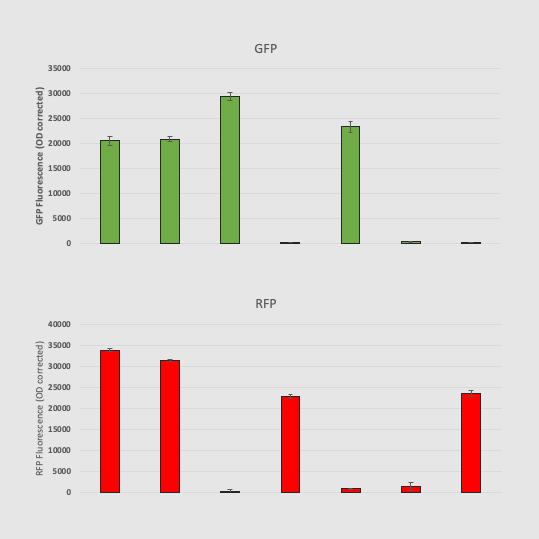 GFP-RFP plate reader assay