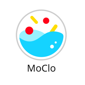 MoClo reaction V.2