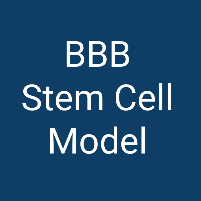 Single Cell Seeding of BBB Stem Cell Model