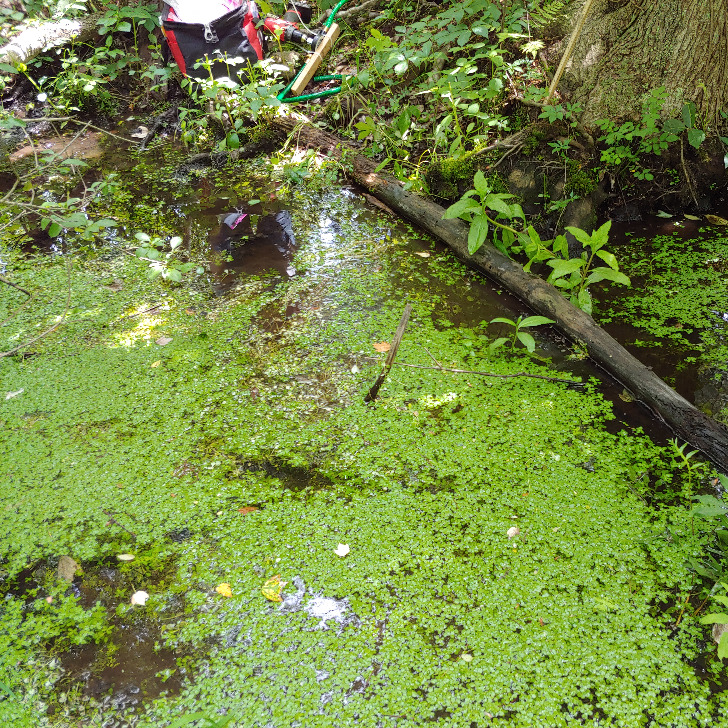 Aquatic eDNA sampling and plant community metabarcoding with portable ...