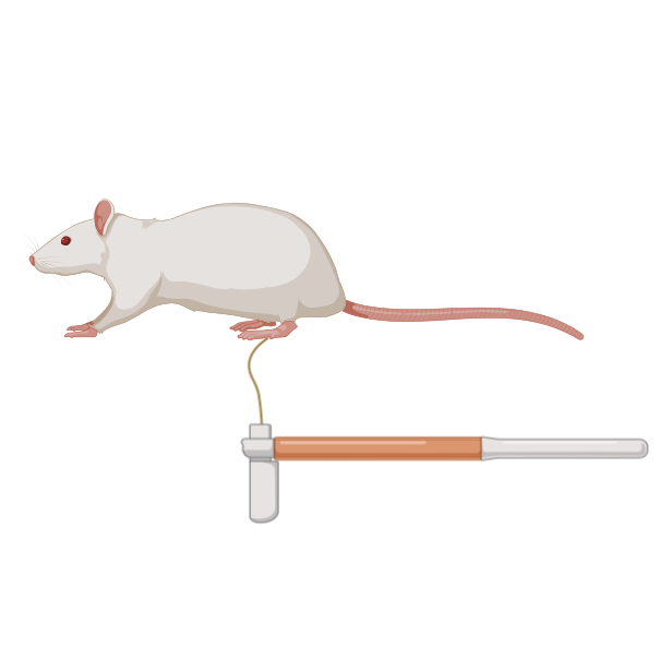 Protocol for Electronic von Frey