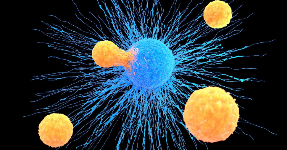 CZI's Frontiers of Imaging Deep Tissue RFA CZI's Frontiers of Imaging Deep Tissue RFA