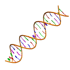 DNA Quantification using the Qubit Fluorometer