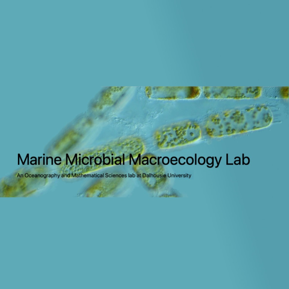 Measure chlorophyll-a and pheophytin-a by Turner Designs