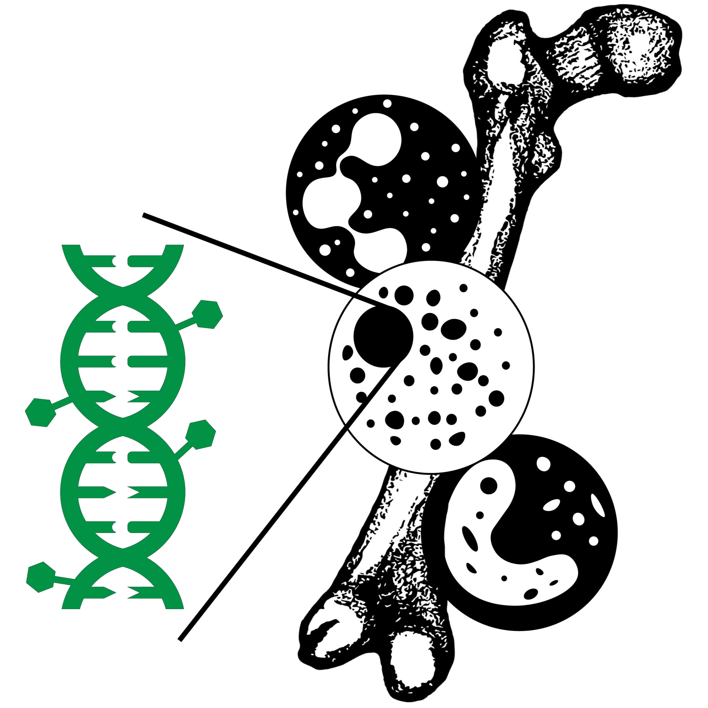 low input ChIP-sequencing of immune cells