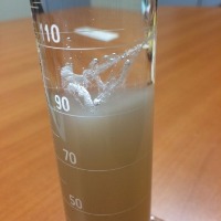 Extracting DNA from bananas
