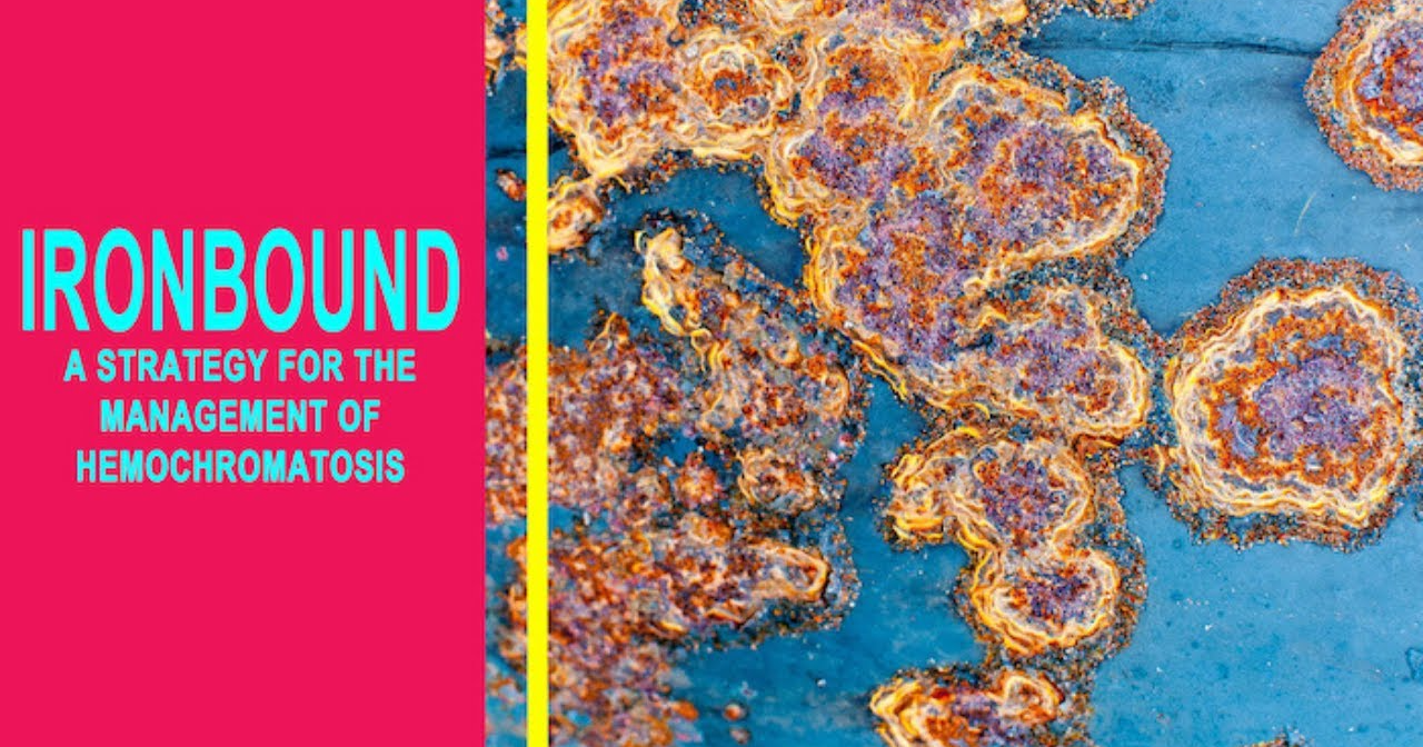 (PDF) Shelly Manning Ironbound Review: Ironbound Book By Shelly Manning