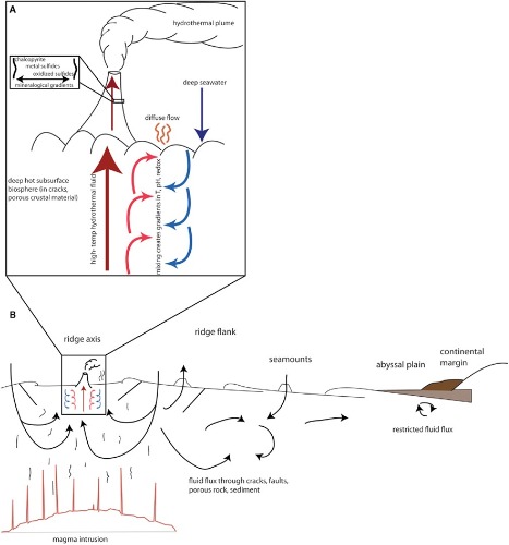 Is the genetic landscape of the deep subsurface biosphere affected by ...