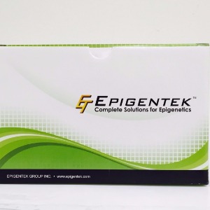 EpiQuik™ Total Histone Extraction Kit