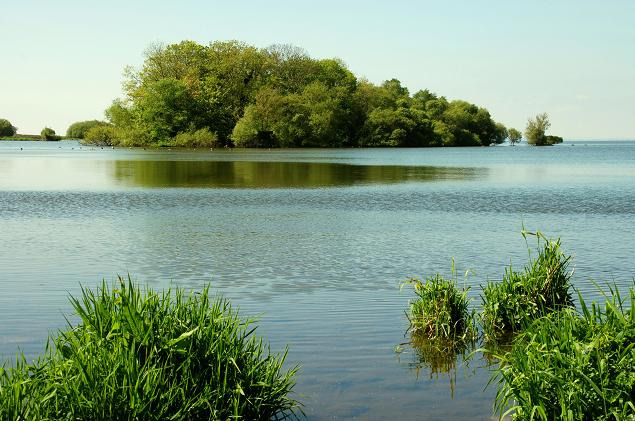 Metagenomic Characterisation of the Viral Community of Lough Neagh, the ...
