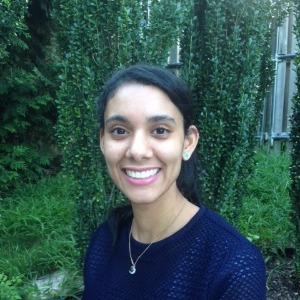 Hennesys Disla on protocols.io