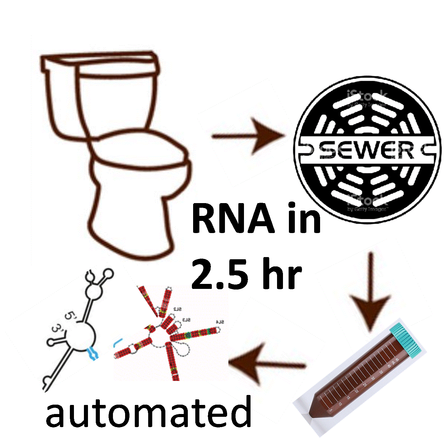 Rapid and direct method to extract SARS-CoV-2 RNA from municipal ...