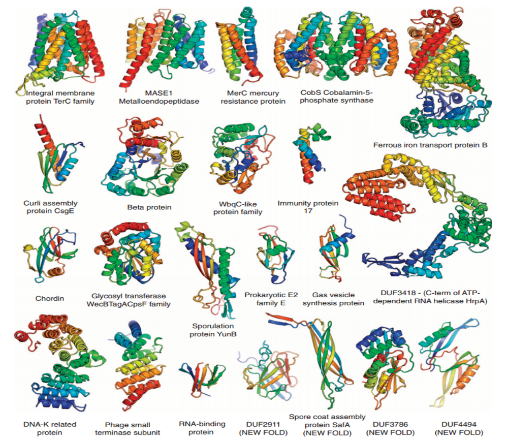 Protein structure determination using metagenome sequence data Protein structure determination using metagenome sequence data