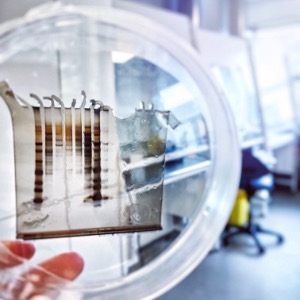 Silver staining of SDS-page