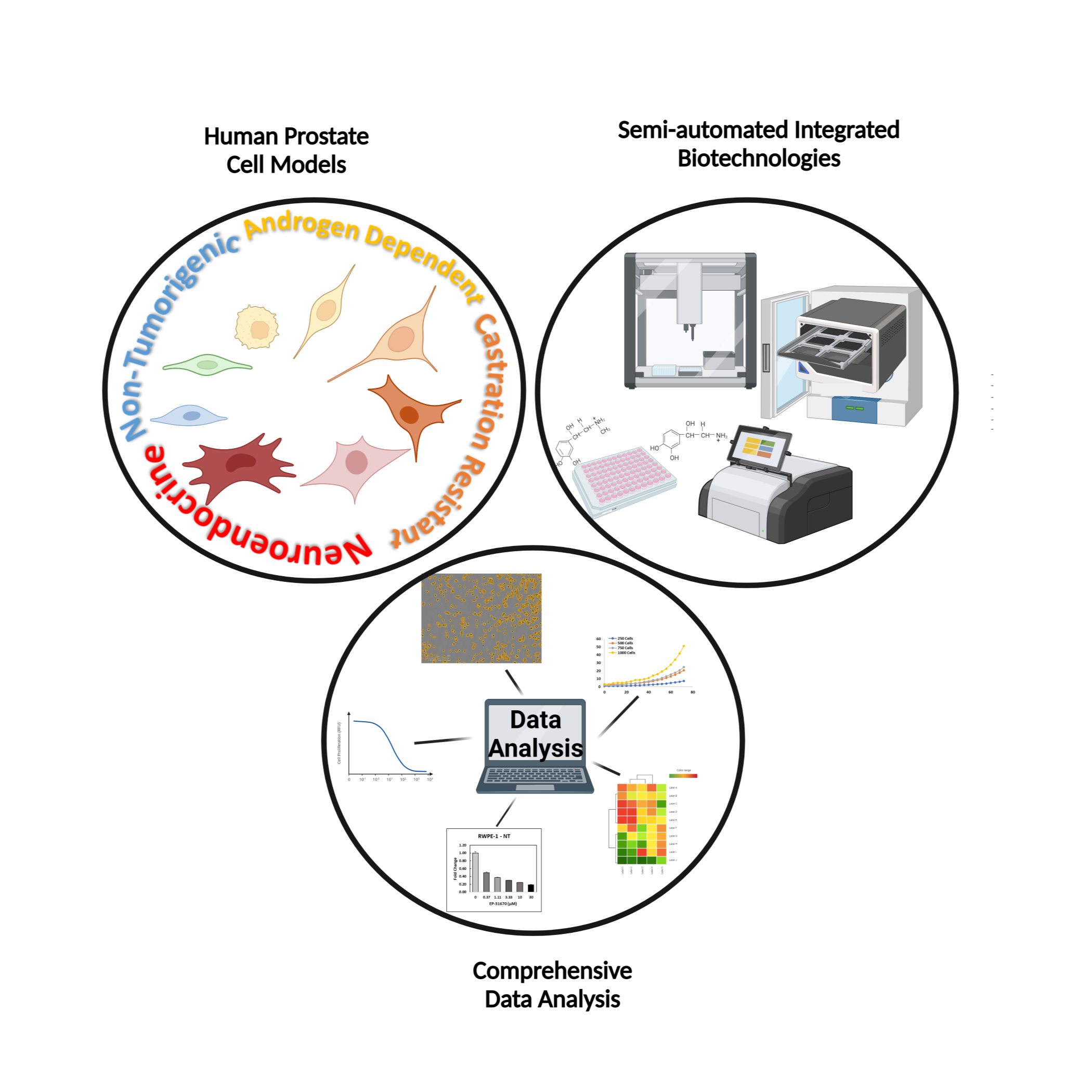 Automation, live-cell imaging, and endpoint cell viability for 96-well ...