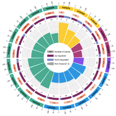 Enrichment Analysis: Fundamentals and Visualization of Enrichment ...
