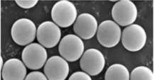 CD Bioparticles Unveils Versatile Plain Polystyrene Particles for ...