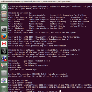 Molecular Dynamics (MD) Simulations, step by step protocol