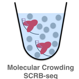 mcSCRB-seq protocol